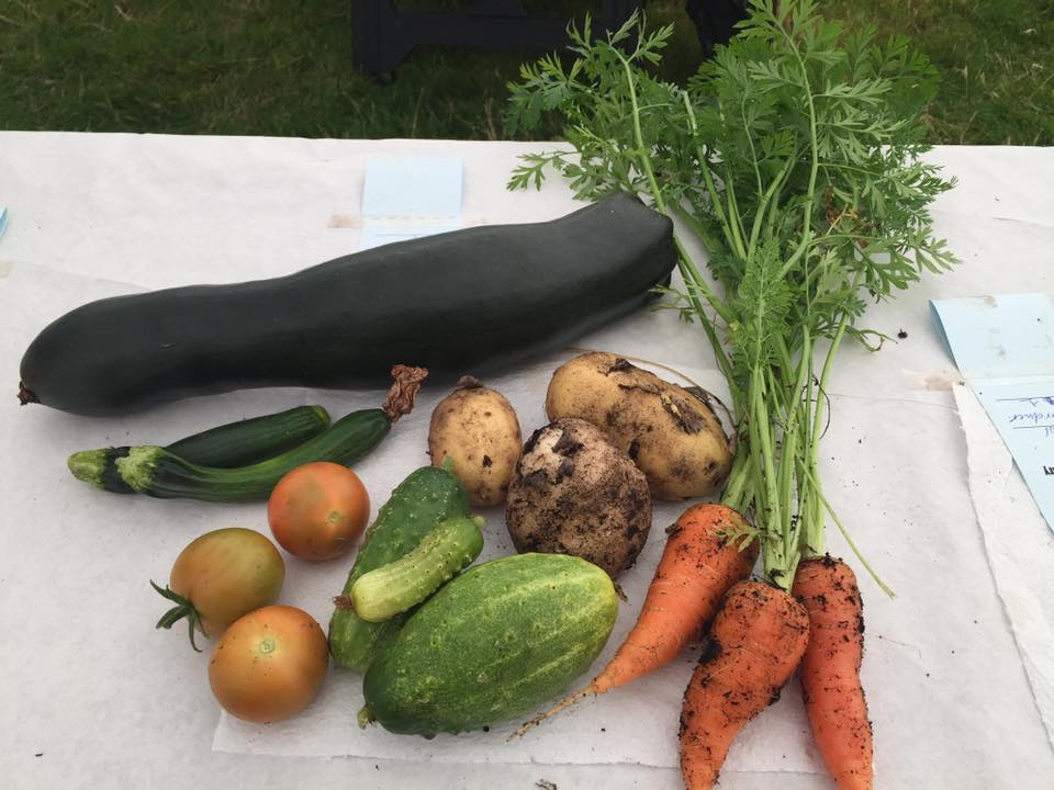 Fruit & Vegetables Competition - Lairg Crofters Show
